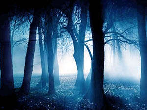 Slenders Woods Free Game Downloads - GameHitZone
